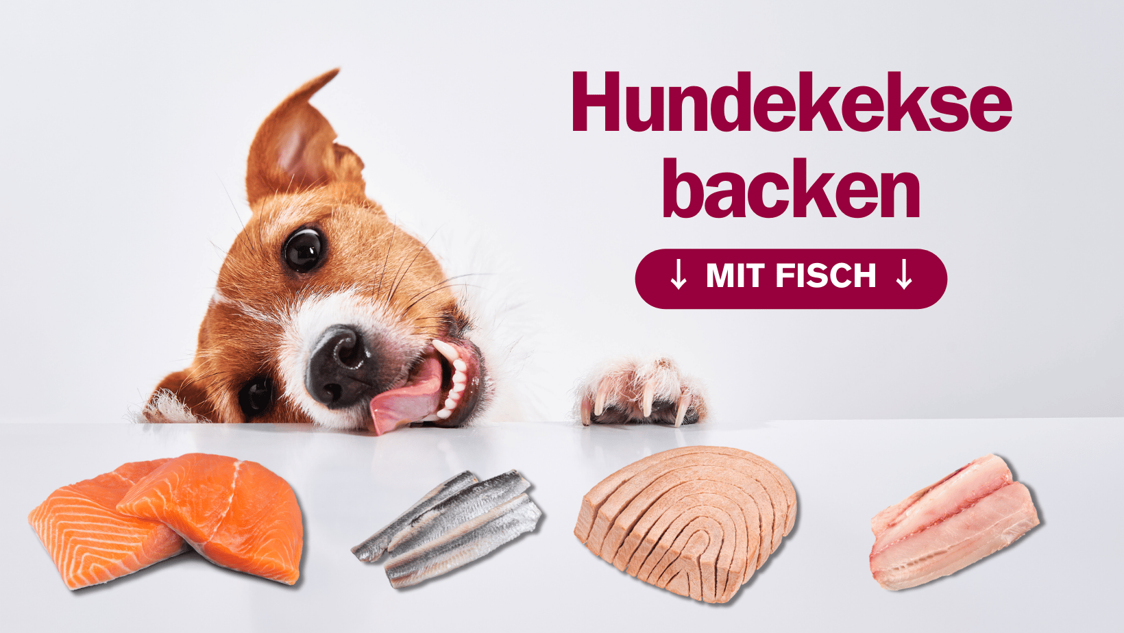 Hundekekse backen mit Fisch: Ein gesunder Snack für deinen Vierbeiner ...