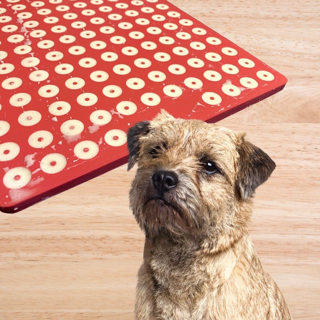 Hundekekse mit Backmatten backen - Dog Bakery